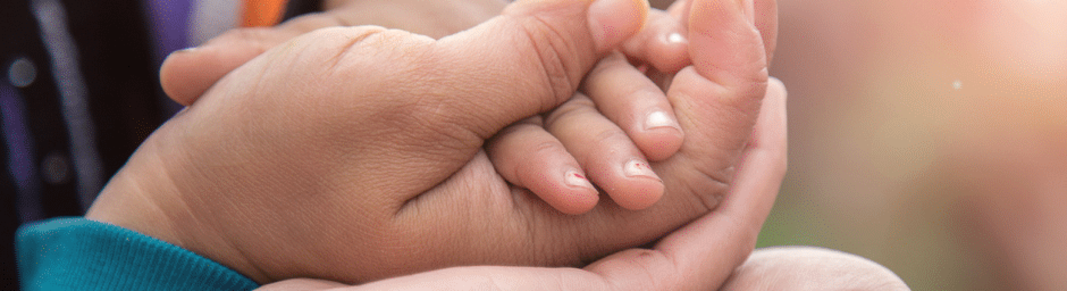 Virtual Resource Kit: Working With Birth Parents - Wisconsin Family ...